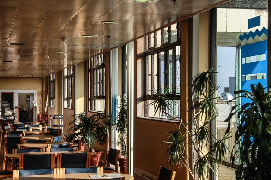 The Locals | (Are You Ready) Do The Bus Stop